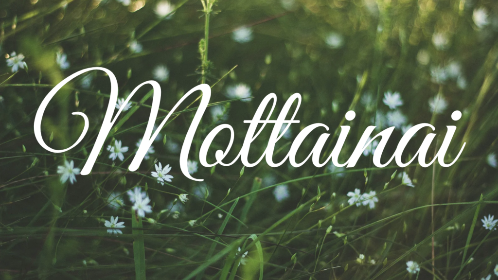 ワンガリ・マータイ もったいない Mottainai SDGs | えいごえほんの森