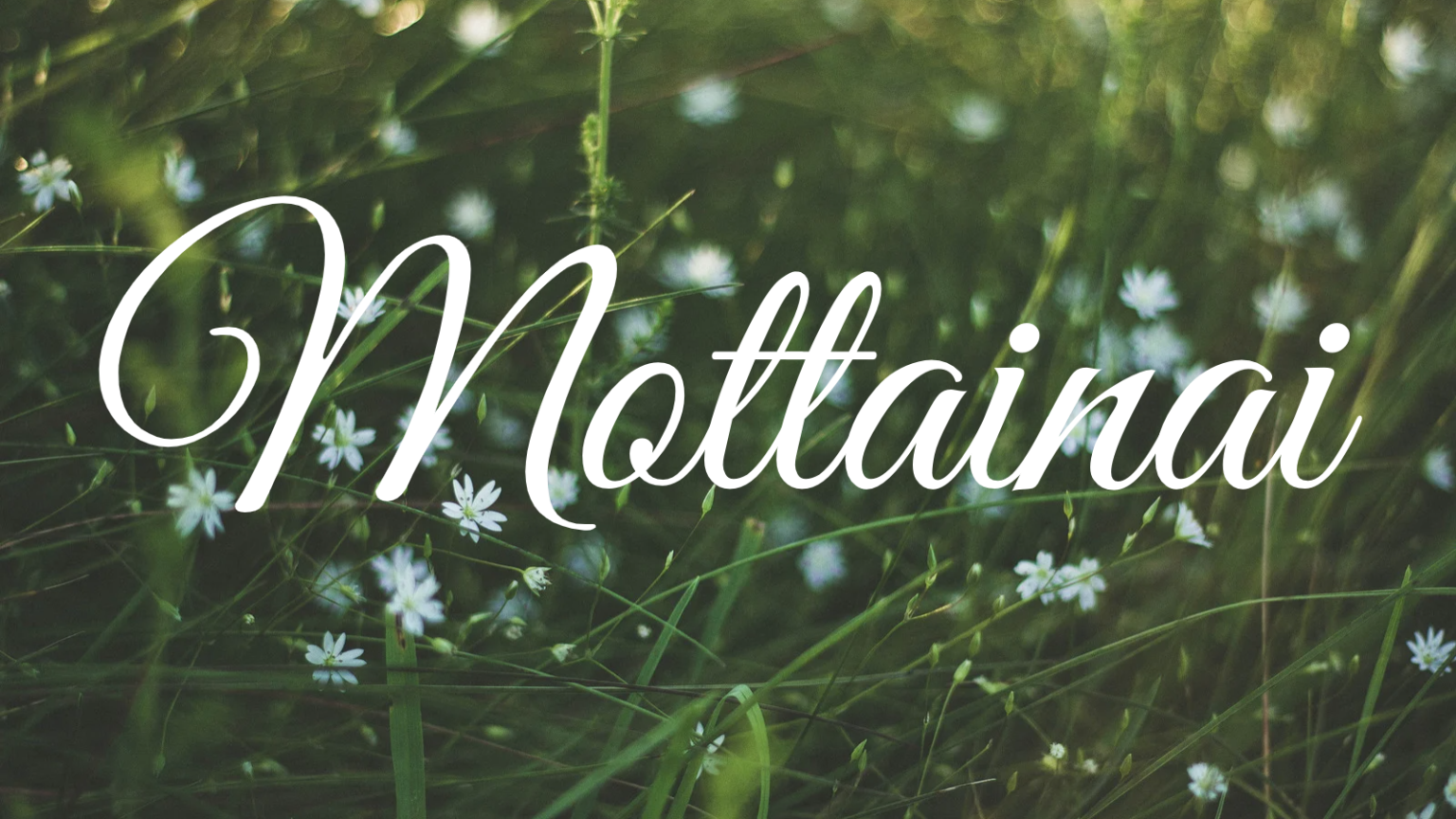 ワンガリ・マータイ もったいない Mottainai SDGs | えいごえほんの森