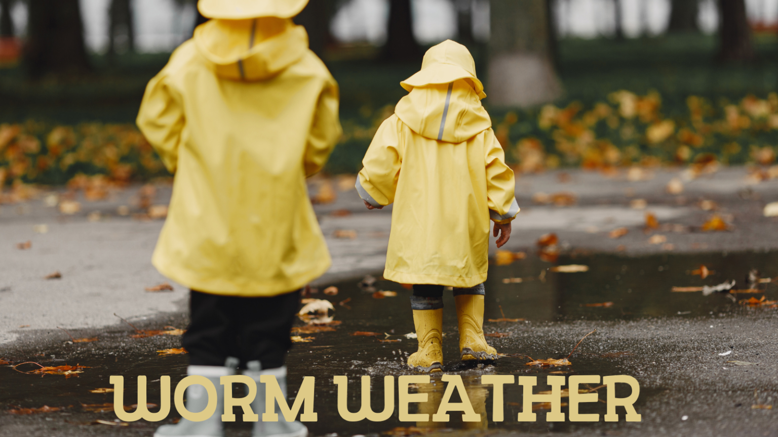 おすすめ英語絵本 天気 | えいごえほんの森