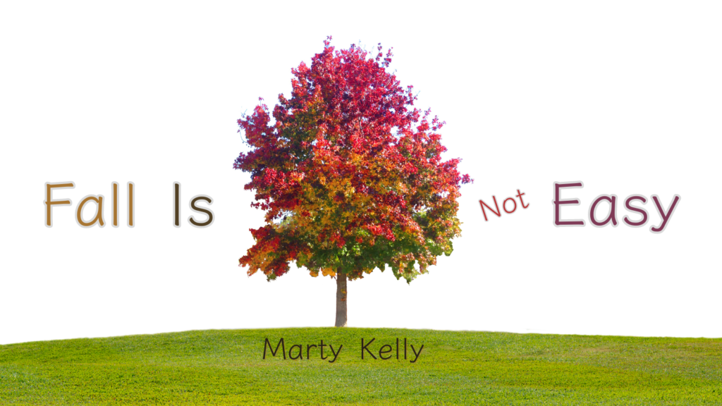 こども英語 英語教室 英語絵本 おすすめ英語絵本 | えいごえほんの森