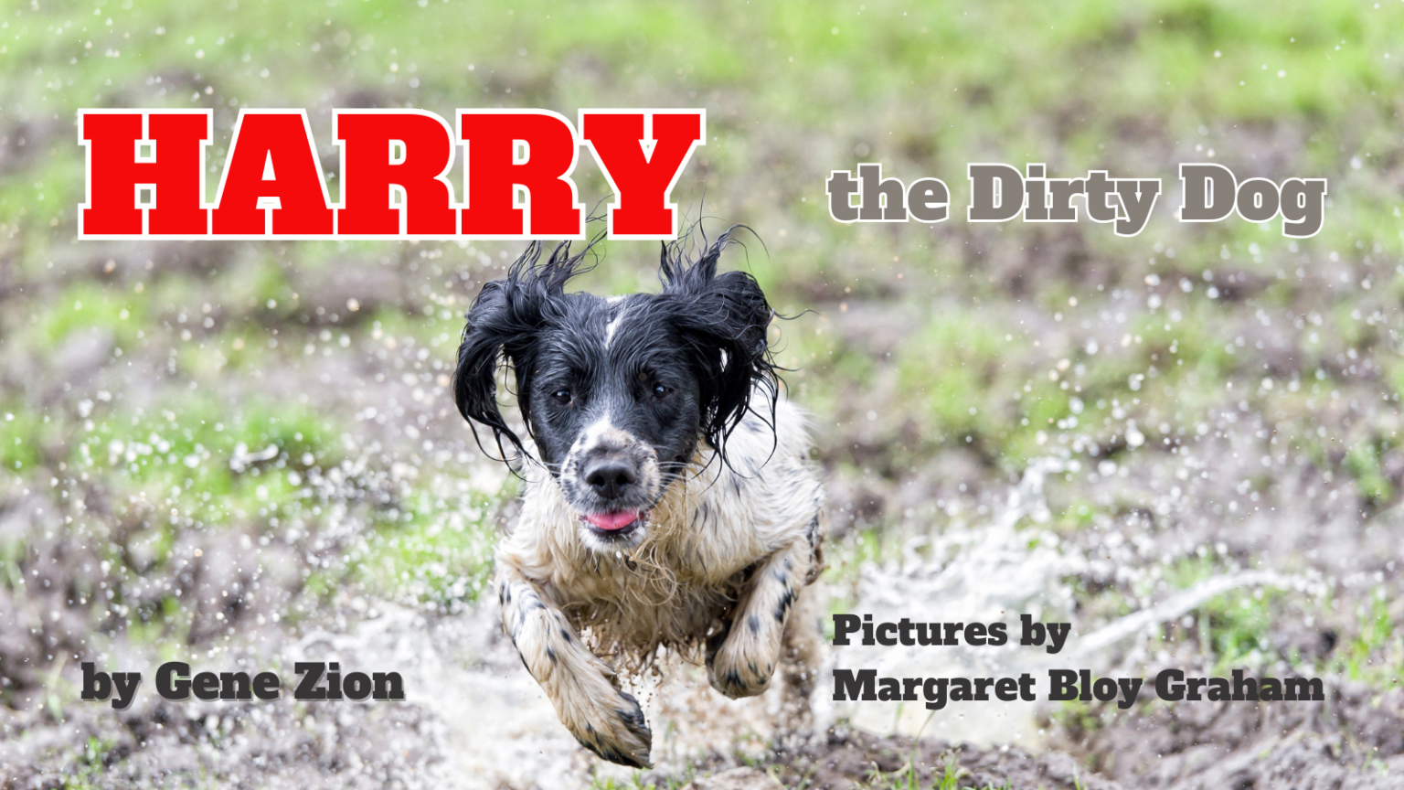 おすすめ絵本 英語絵本 どろんこハリー HARRY the dirty dog | えいごえほんの森